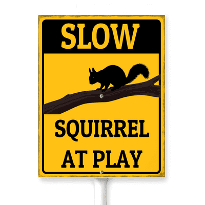 Kurmntregon Slow Squirrels At Play Yard Sign With Stake Squirrels ...
