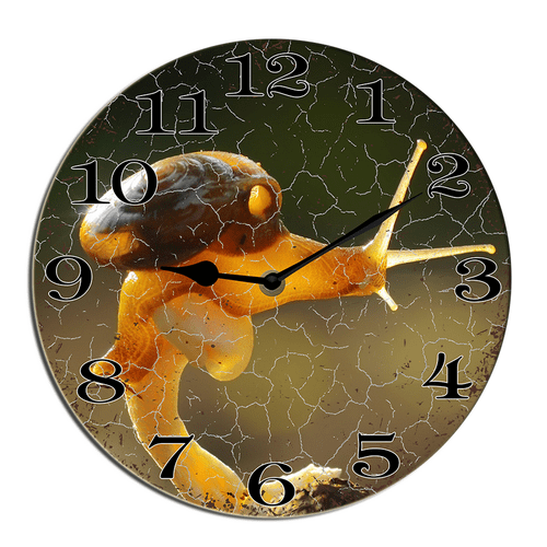 Kurmntregon Snail Wall Clock Animal Silent Non Ticking Battery Operated ...