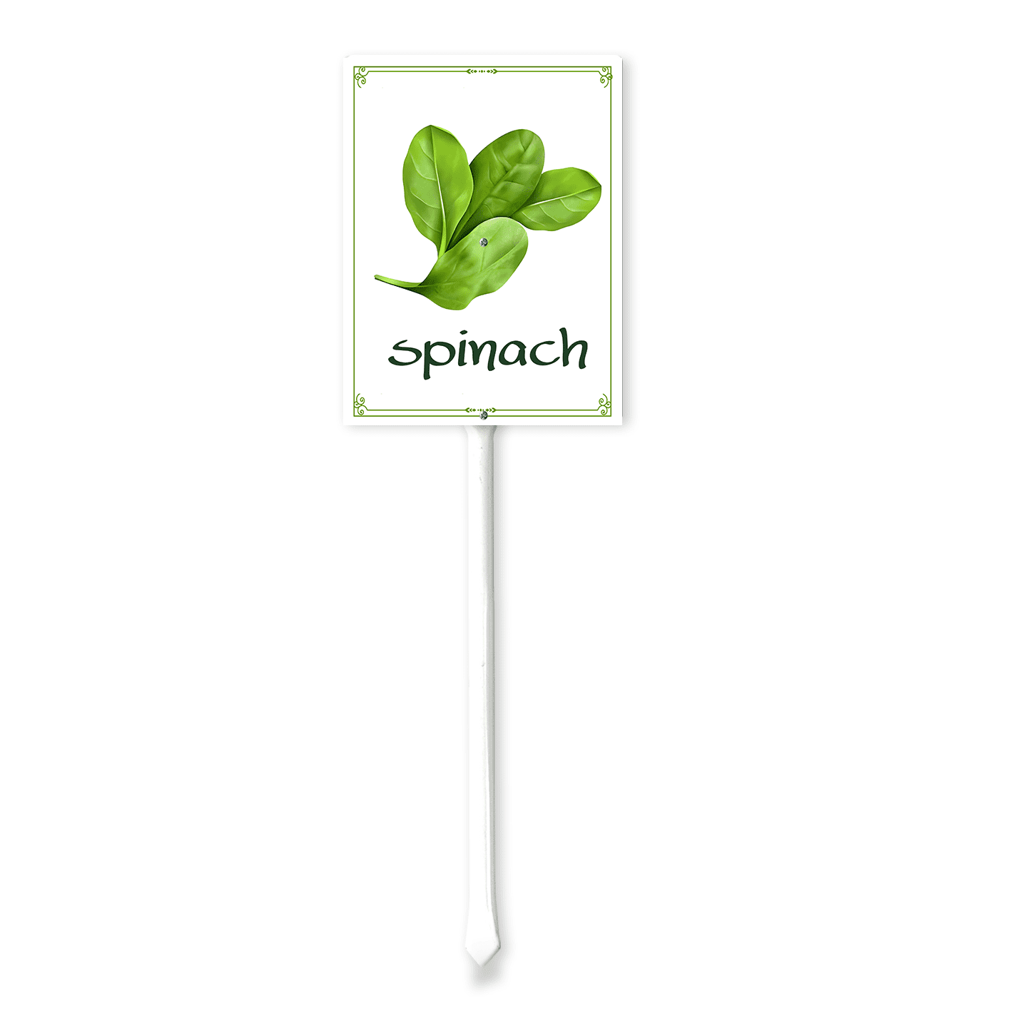 Kurmntregon Spinach Sign With Stake Vegetable Garden Sign For Yard ...