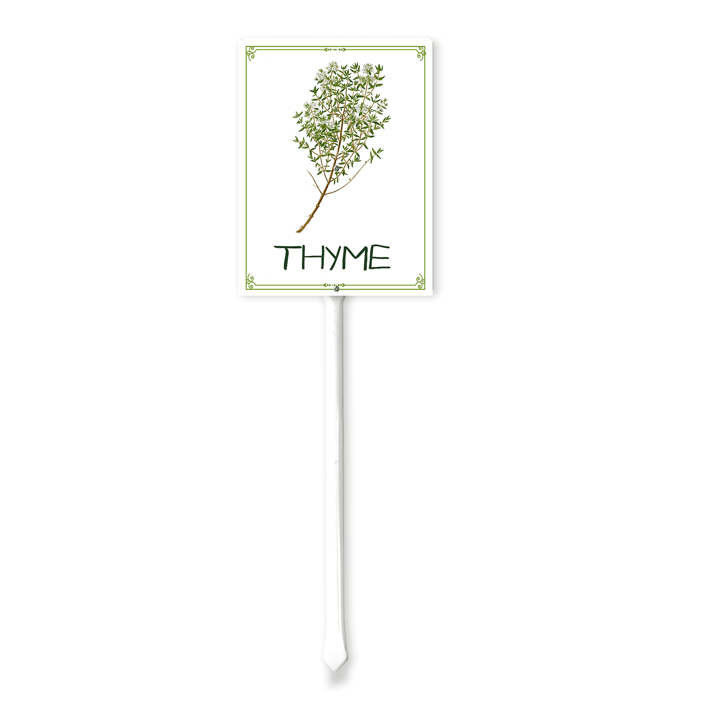 Kurmntregon Thyme Sign With Stake Vegetable Garden Sign For Yard ...