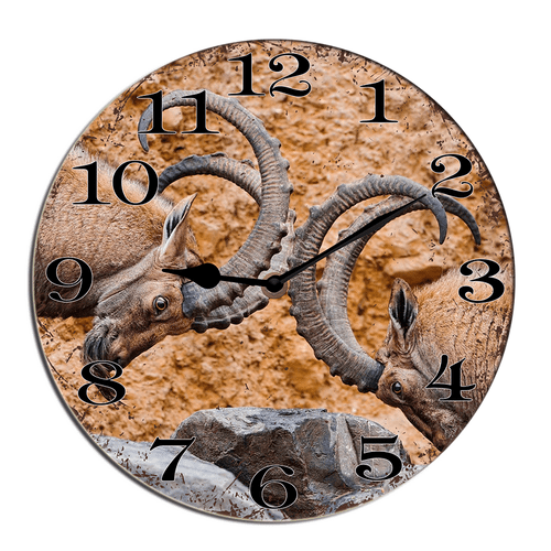 Kurmntregon Two Male Ibexes Fighting Wall Clock Animal Desk Kitchen ...