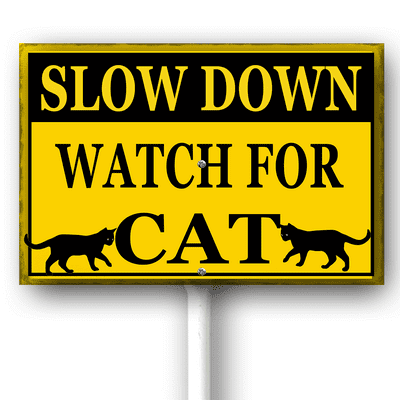 Kurmntregon Watch For Cat Sign With Stake Caution Slow Down ...