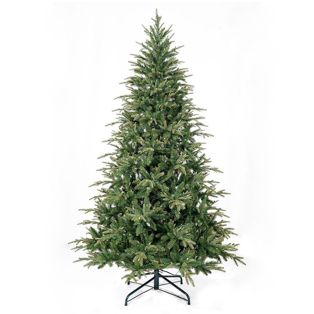 Grand Fir Trees