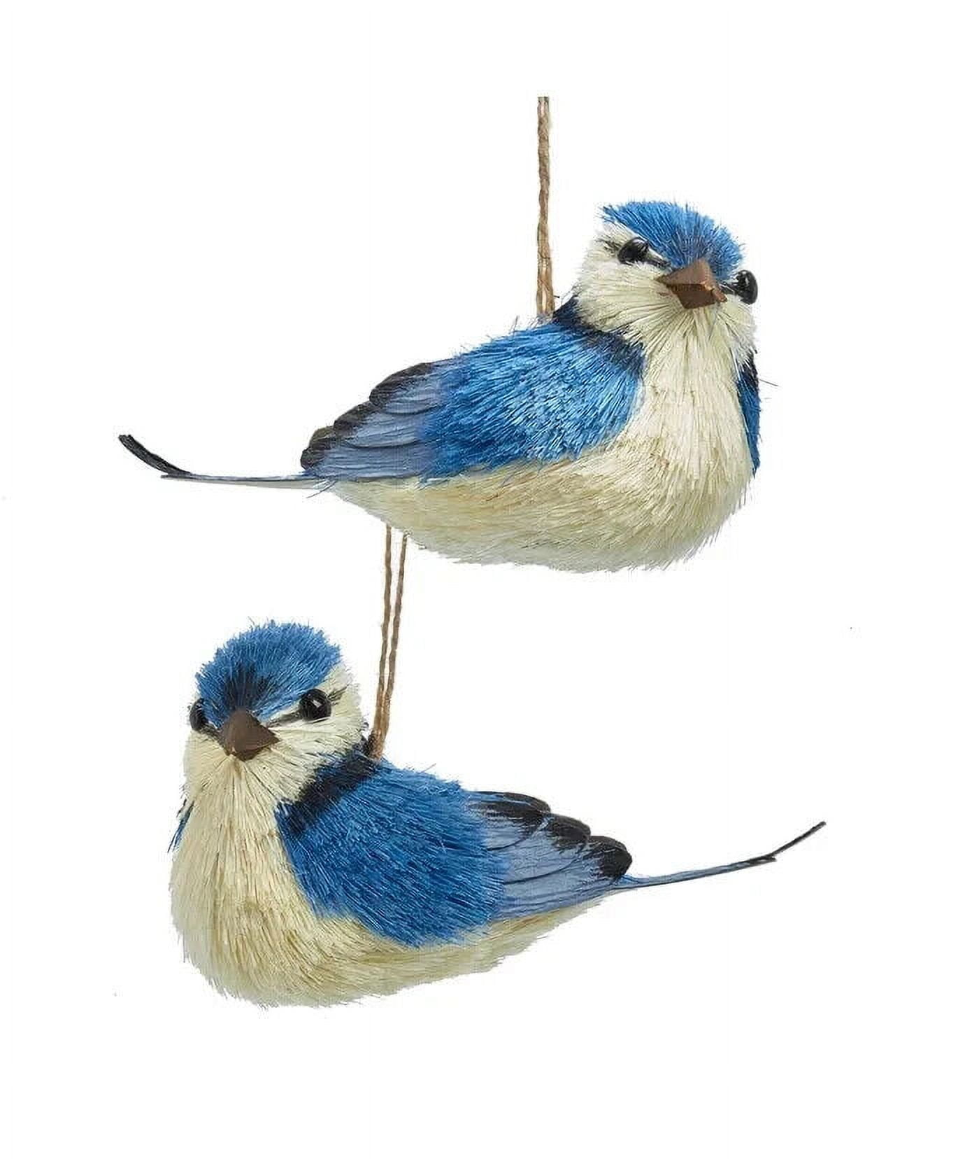 Kurt Adler Sisal Birds (Blue Sisal Birds) - Walmart.com