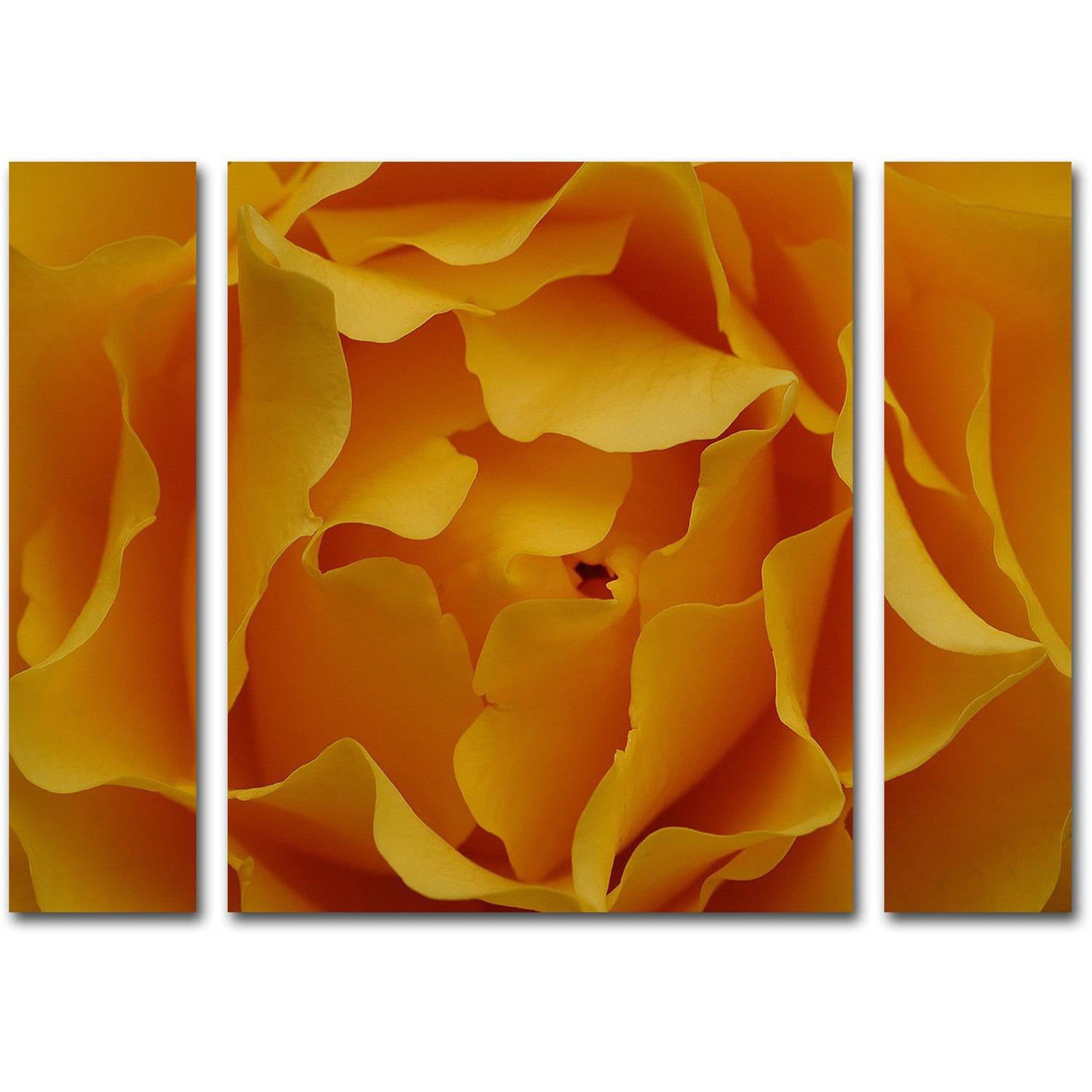 Kurt Shaffer "Hypnotic Yellow Rose" Multi Panel Art Set - Walmart.com
