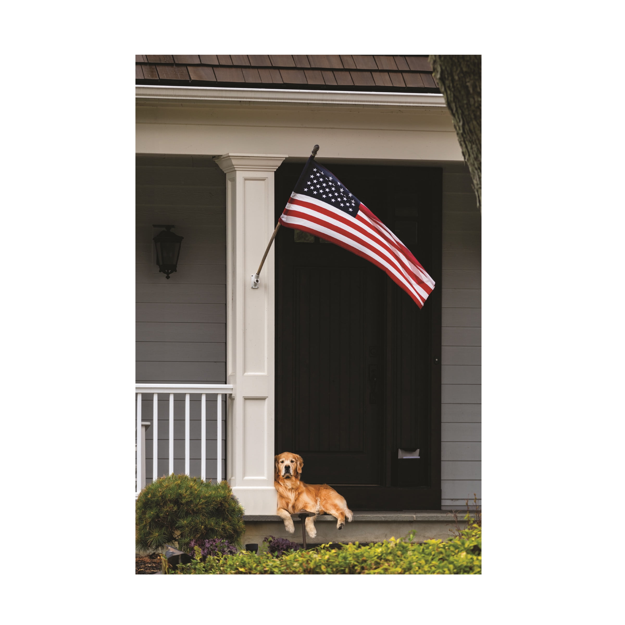 Kurt Shaffer Photographs 'American Golden Retriever' Canvas Art ...