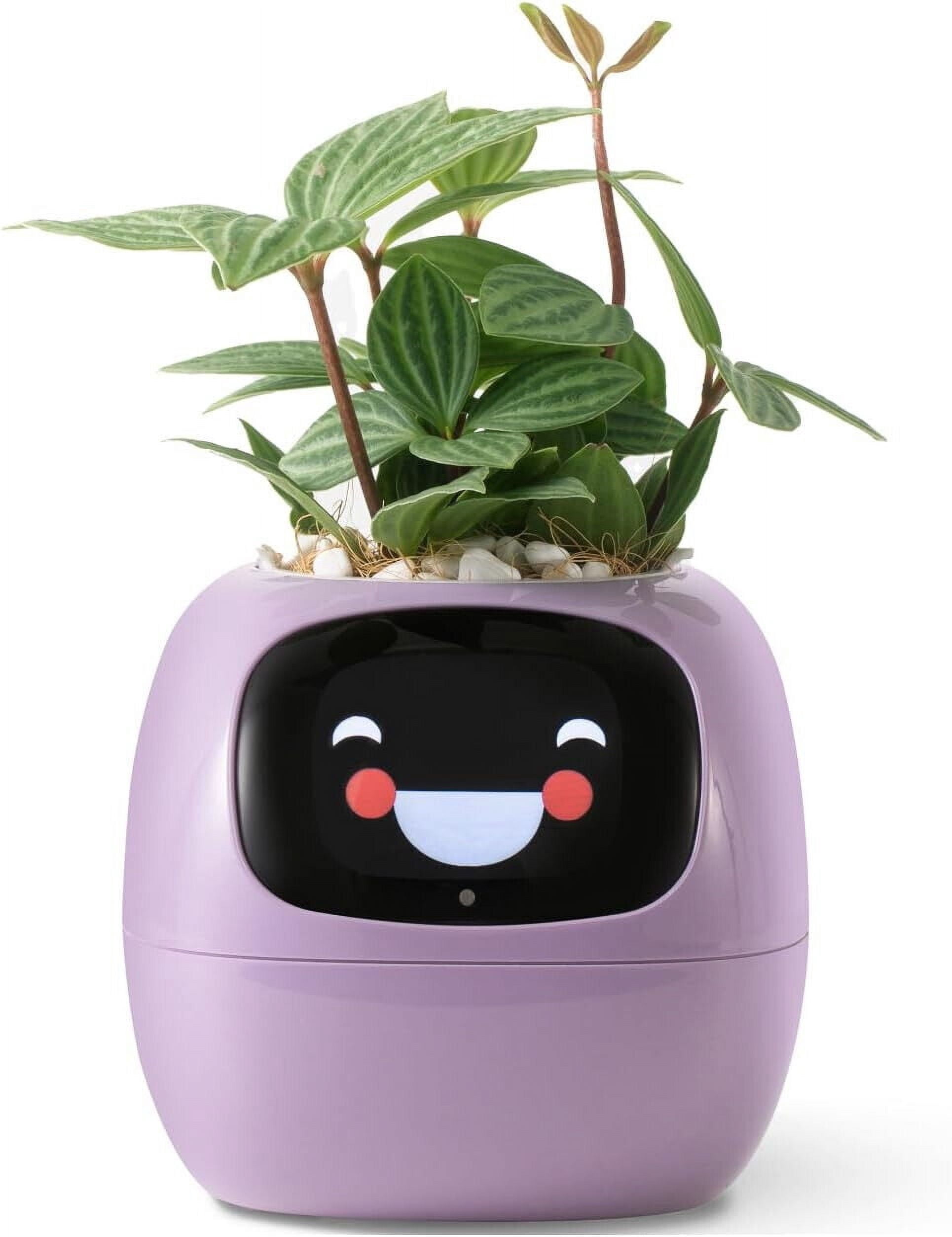 KwalityDEALZ Glow Ivy - AI Smart Planter with Expressions - Walmart.com