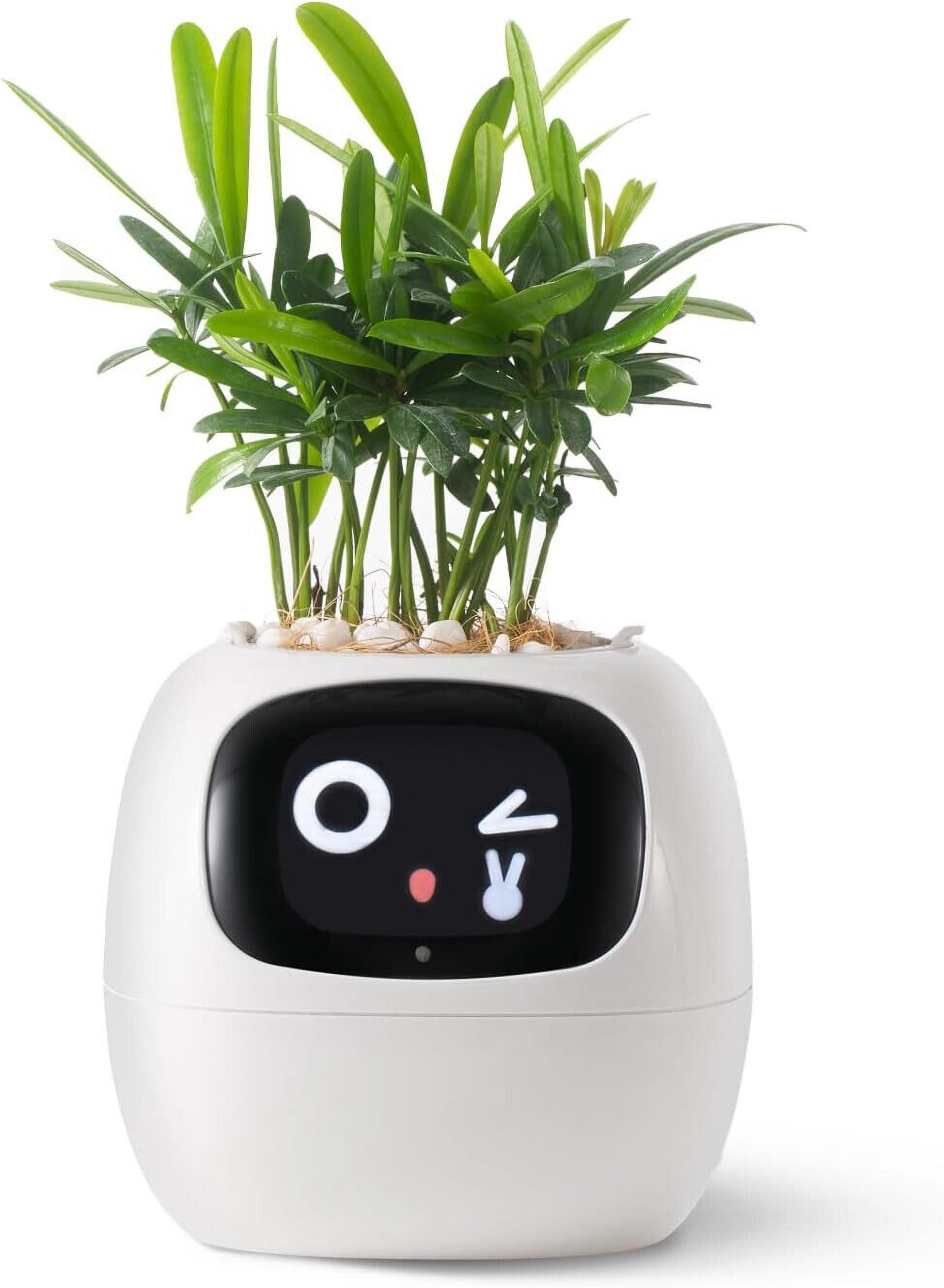 KwalityDEALZ Glow Ivy - AI Smart Planter with Expressions - Walmart.com