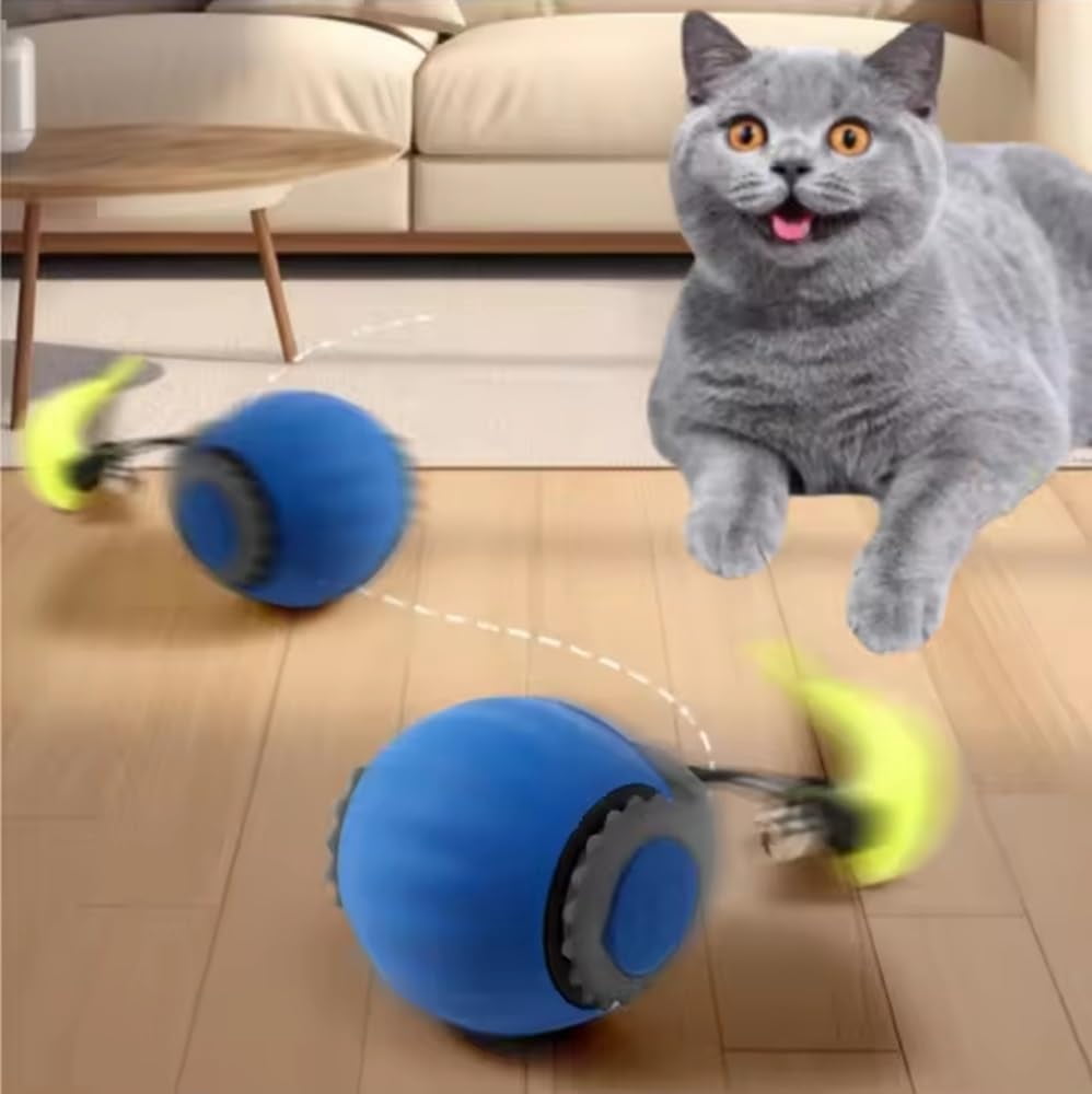 KwalityDEALZ Whirl Whisker – Smart Rolling Cat Toy - Walmart.com