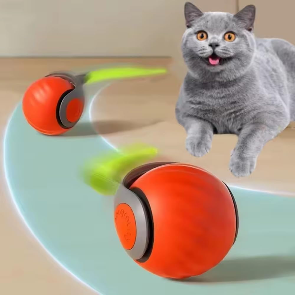 KwalityDEALZ Whirl Whisker – Smart Rolling Cat Toy - Walmart.com