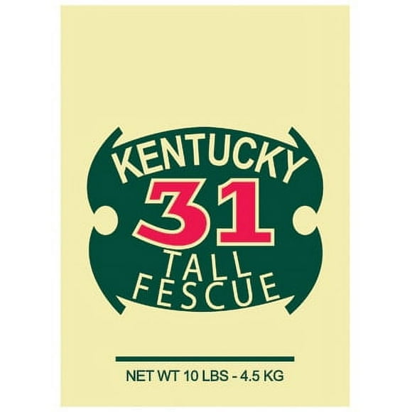 Kentucky 31 Tall Fescue Grass Seed