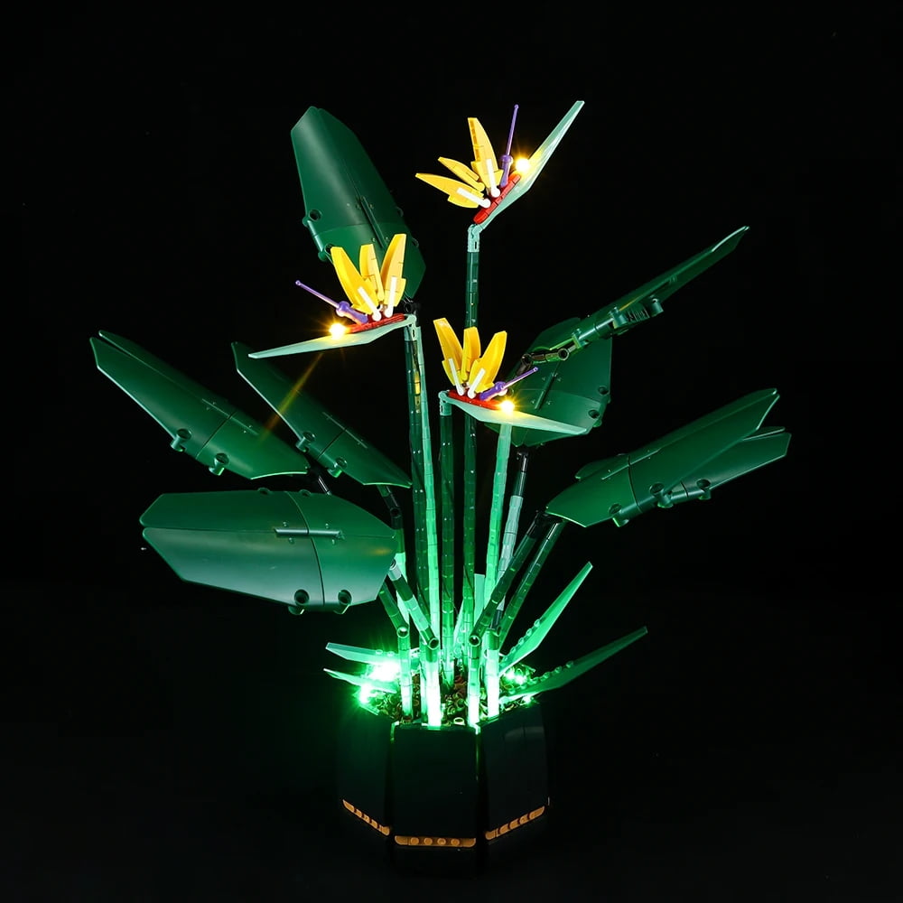 Kyglaring Led Light Kit for Creator Bird of Paradise - Compatible with ...