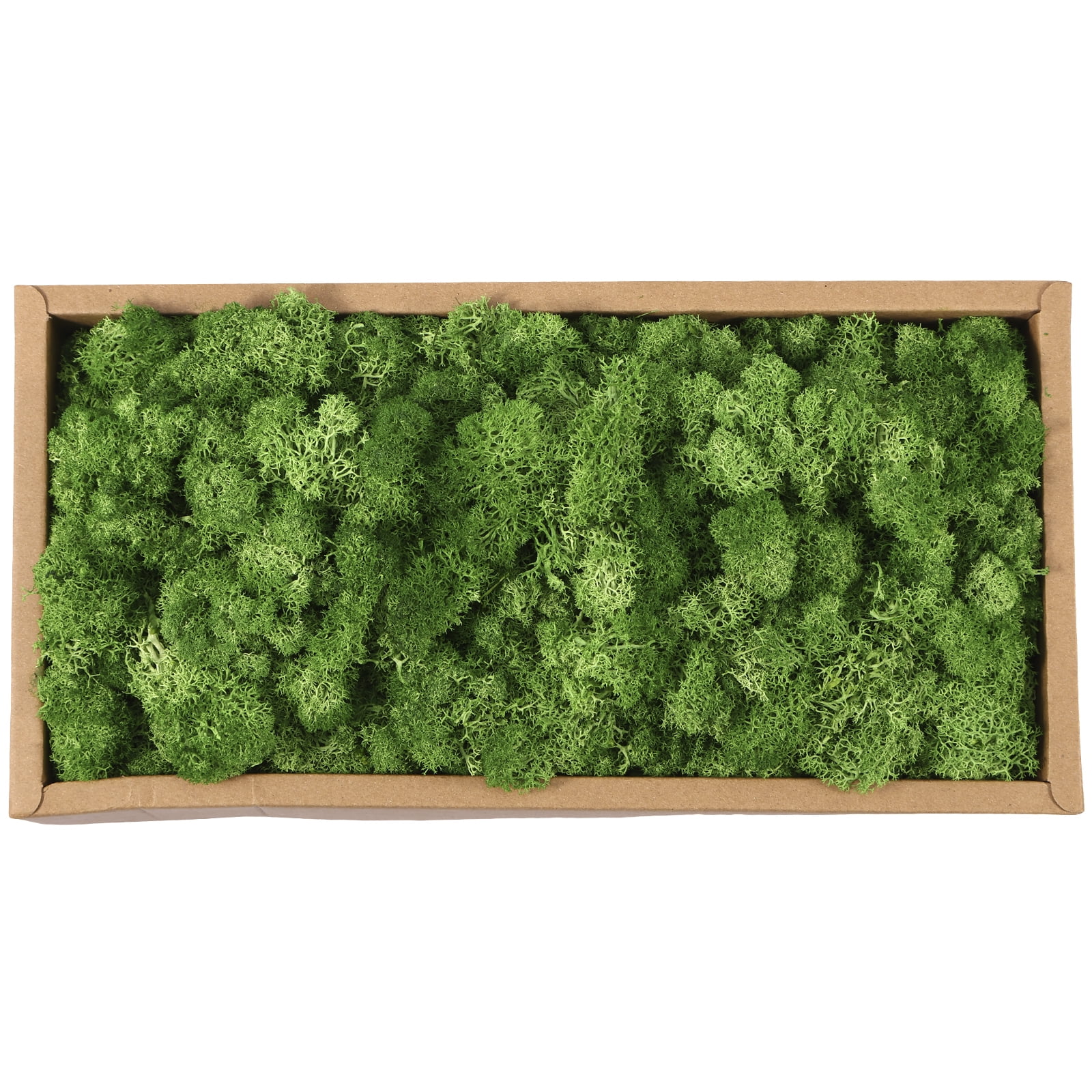 Kyoffiie Moss Decoration Lightweight Eternal Moss Craft Soft Green Moss ...
