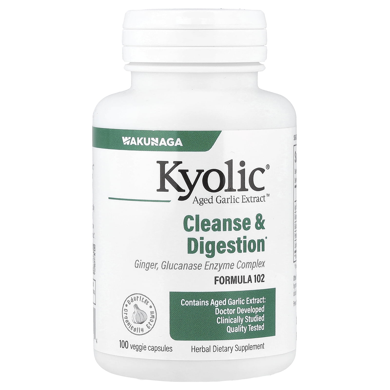 Kyolic Aged Garlic Extract Candida Cleanse and Digestion Formula 102 ...