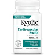 Kyolic Aged Garlic Extract, Detox & Anti-Aging, Formula 105, Capsules ...