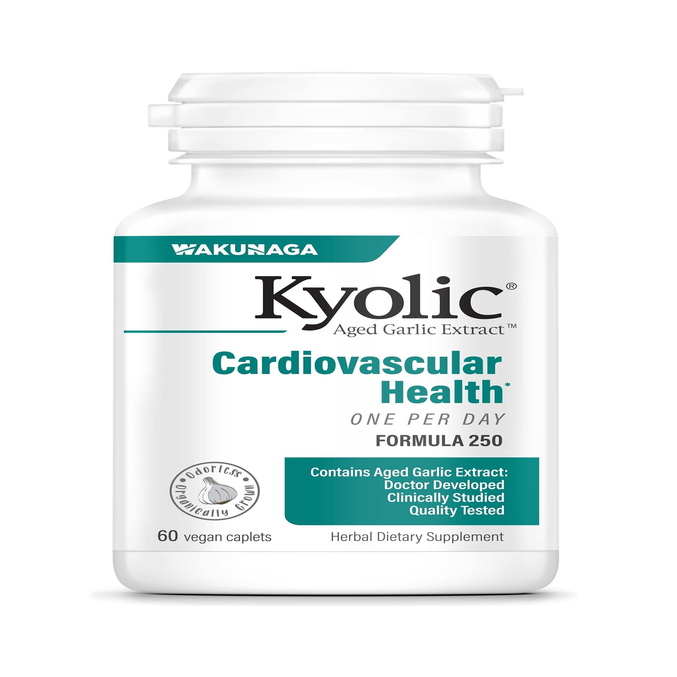 Kyolic Aged Garlic Extract Cardiovascular Health Supplement, 60 ...