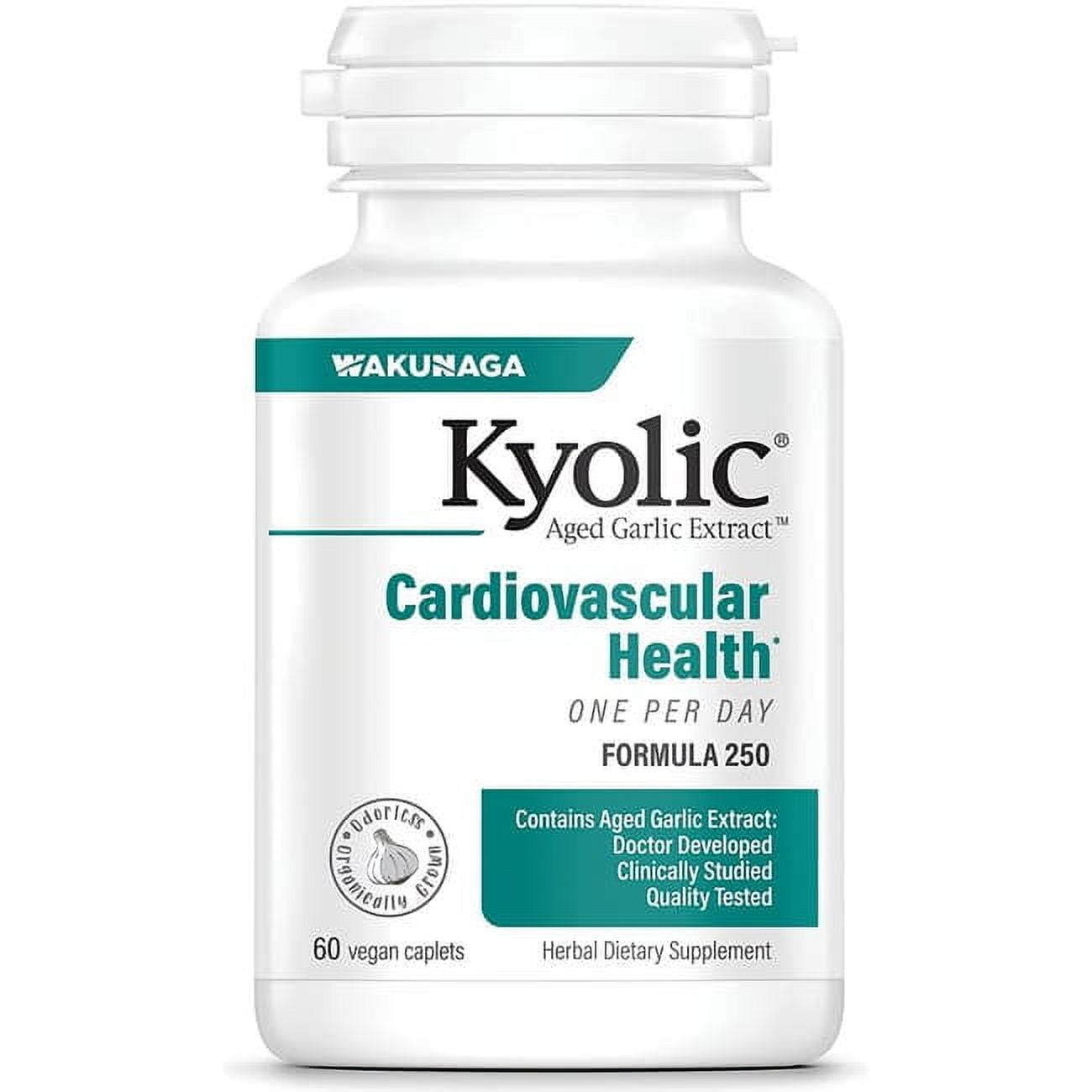 Kyolic Aged Garlic Extract Cardiovascular Health Supplement, 60 ...