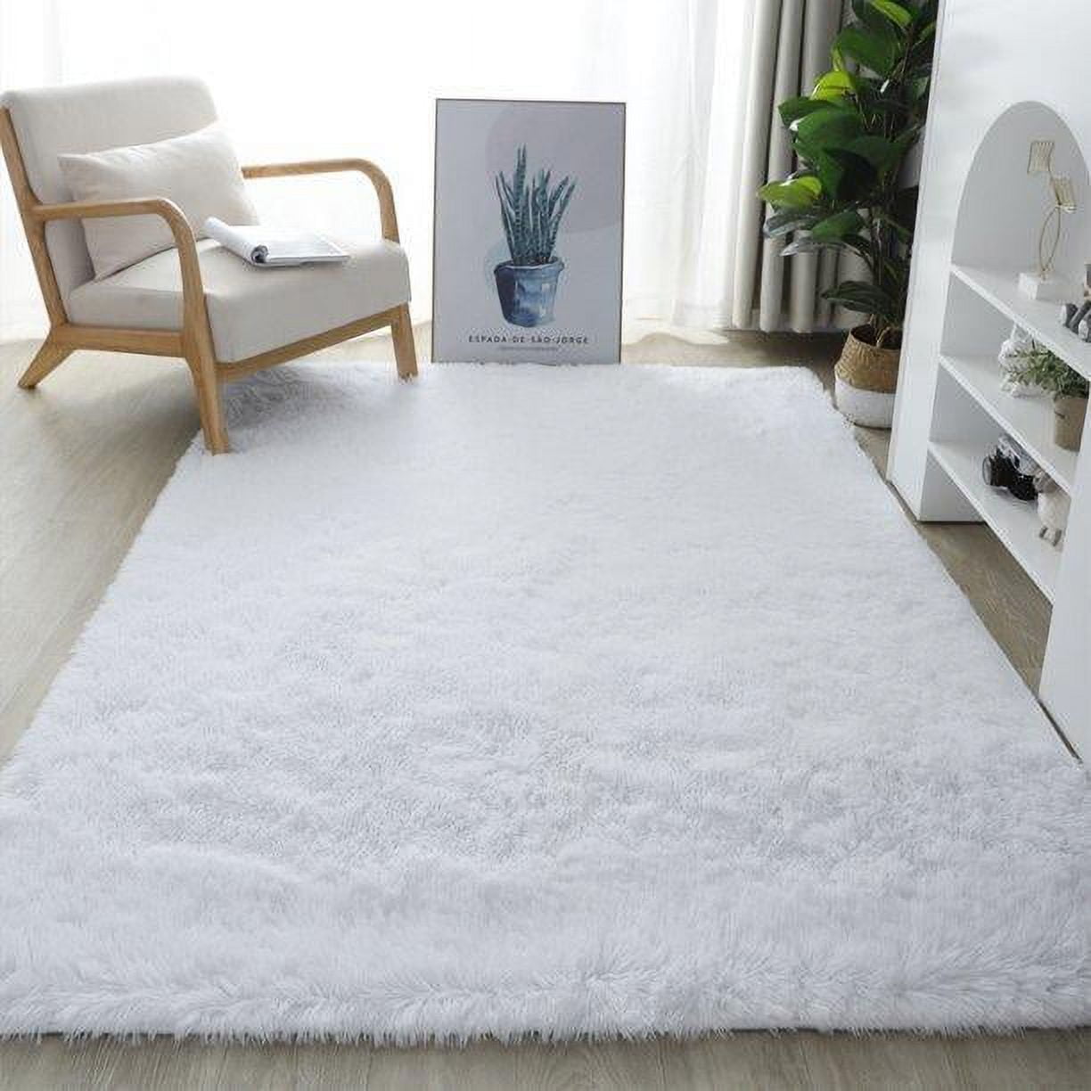 Kyoryuger Modern Area Rug，Plush Area Rug for Bedroom Living Room， Home ...