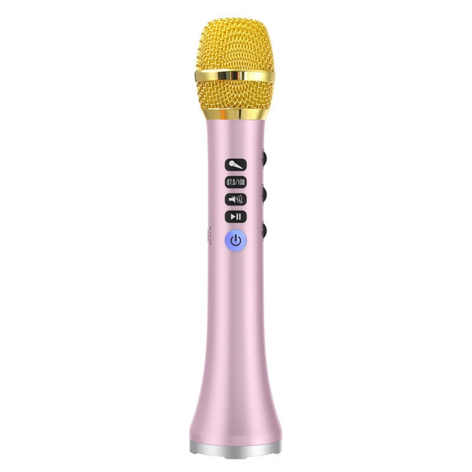 L-698DSP 20W Bluetooth Microphone with Wireless Speaker for Enhanced ...