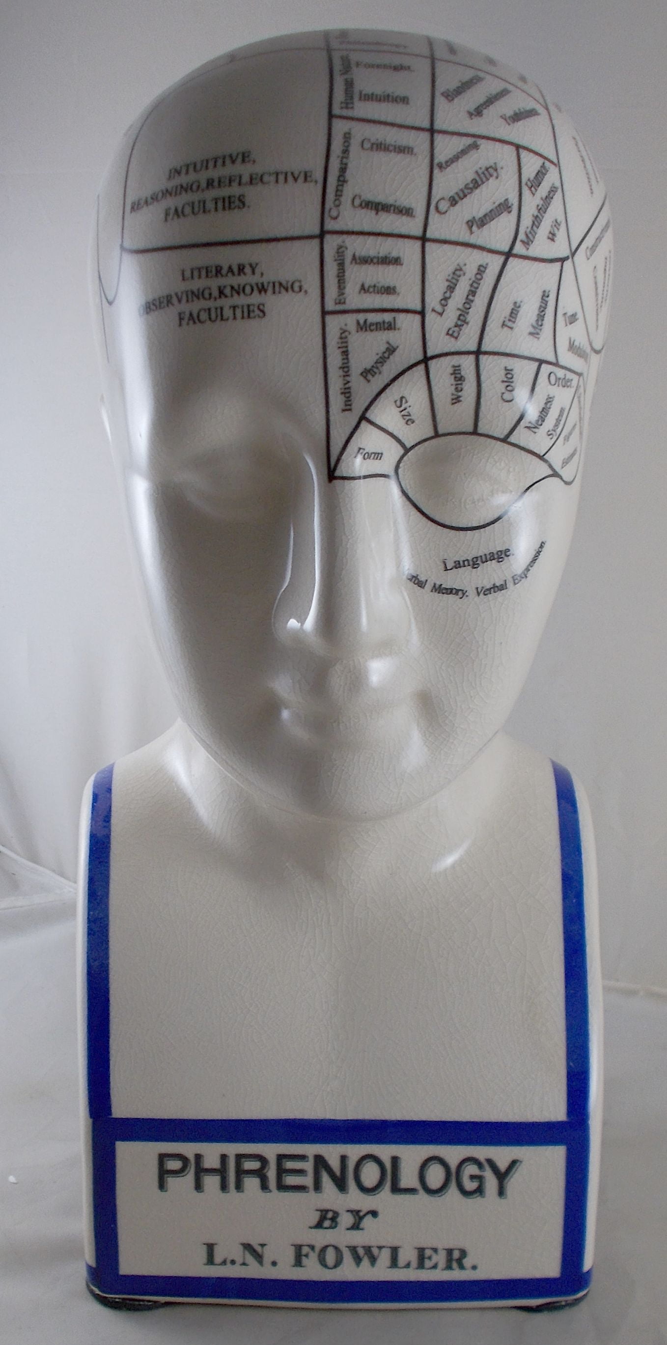 L.N. Fowler Phrenology Head Statue - Walmart.com