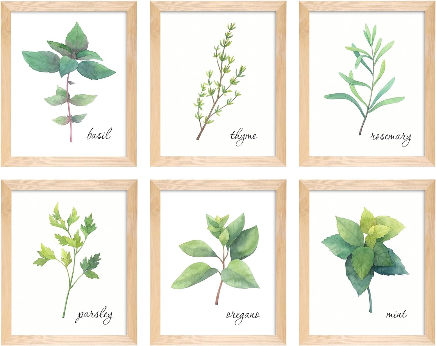 L&O Goods Kitchen Herb Decor Posters & Prints | Home & Kitchen Sage ...