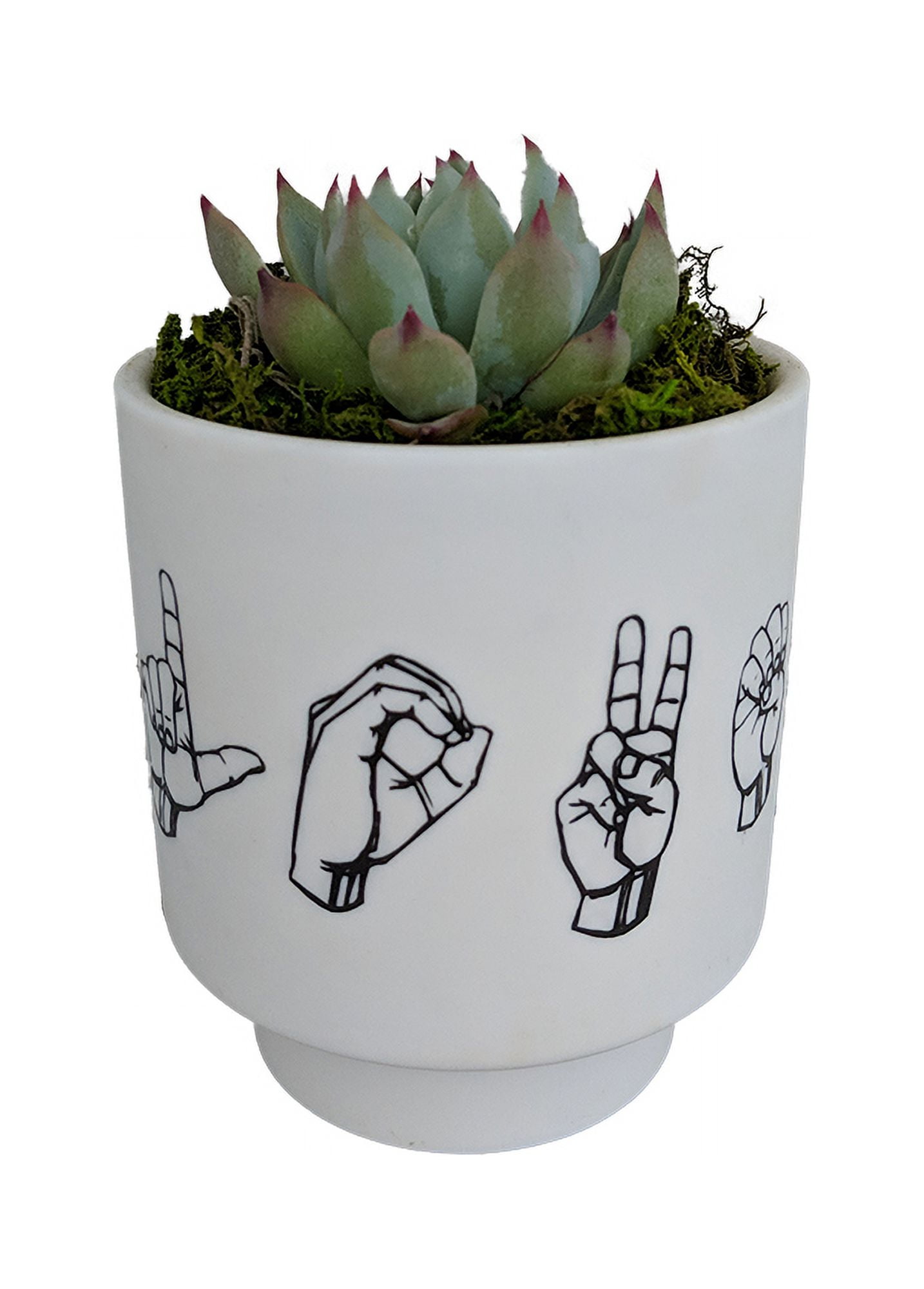 L.O.V.E. Spelled - Sign Language Planter with Live Plant - ASL - Live ...