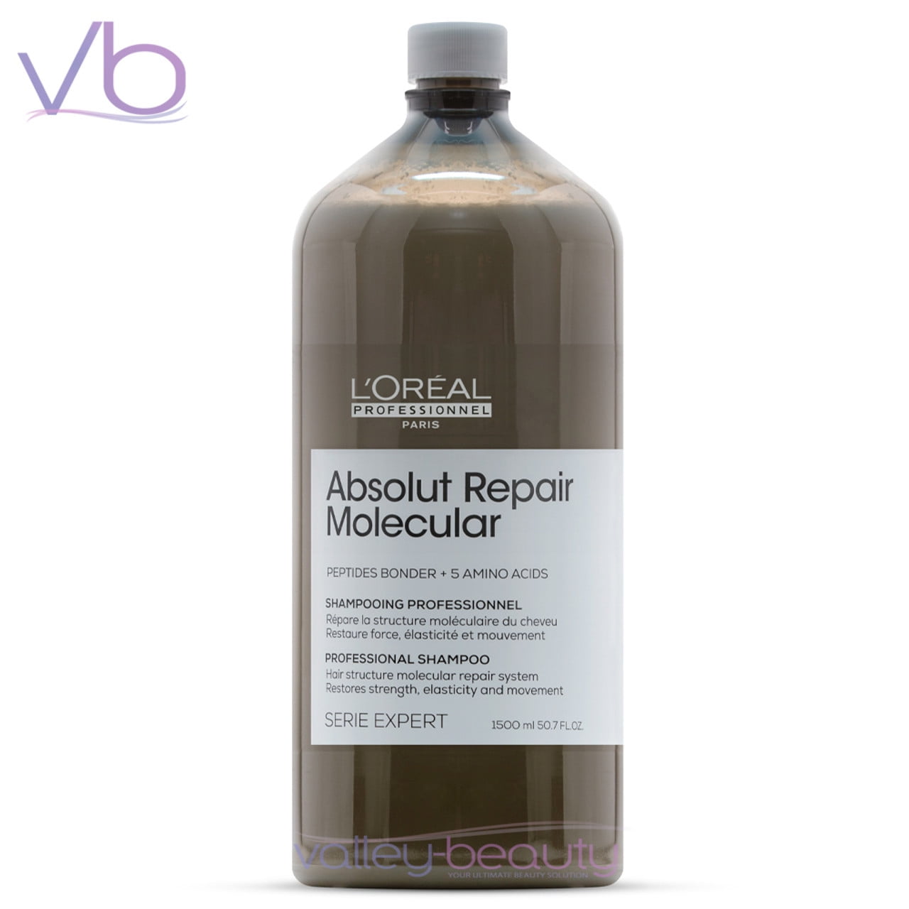 L’Oreal Absolut Repair Molecular Shampoo | Sulfate-Free Hair Structure ...