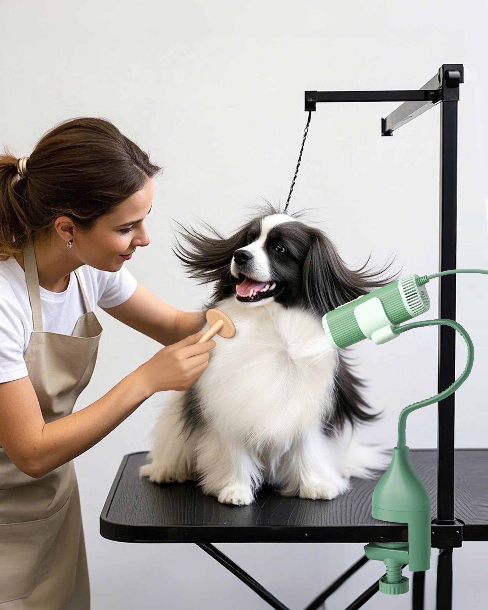 L&W BROS. 3 in 1 Pet Hair Dryer with Clamp Stand, Wearable and Hands ...