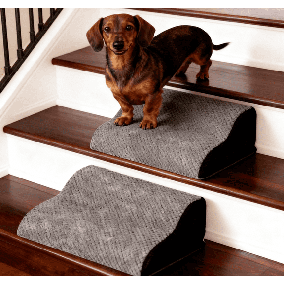 Dachshund Ramp