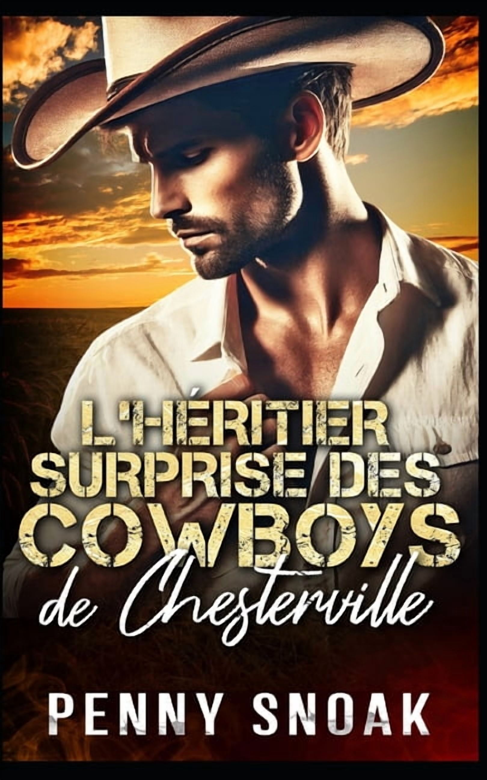 SÃ©rie les Secrets Interdits de Chestervi L'hÃ©ritier surprise des ...