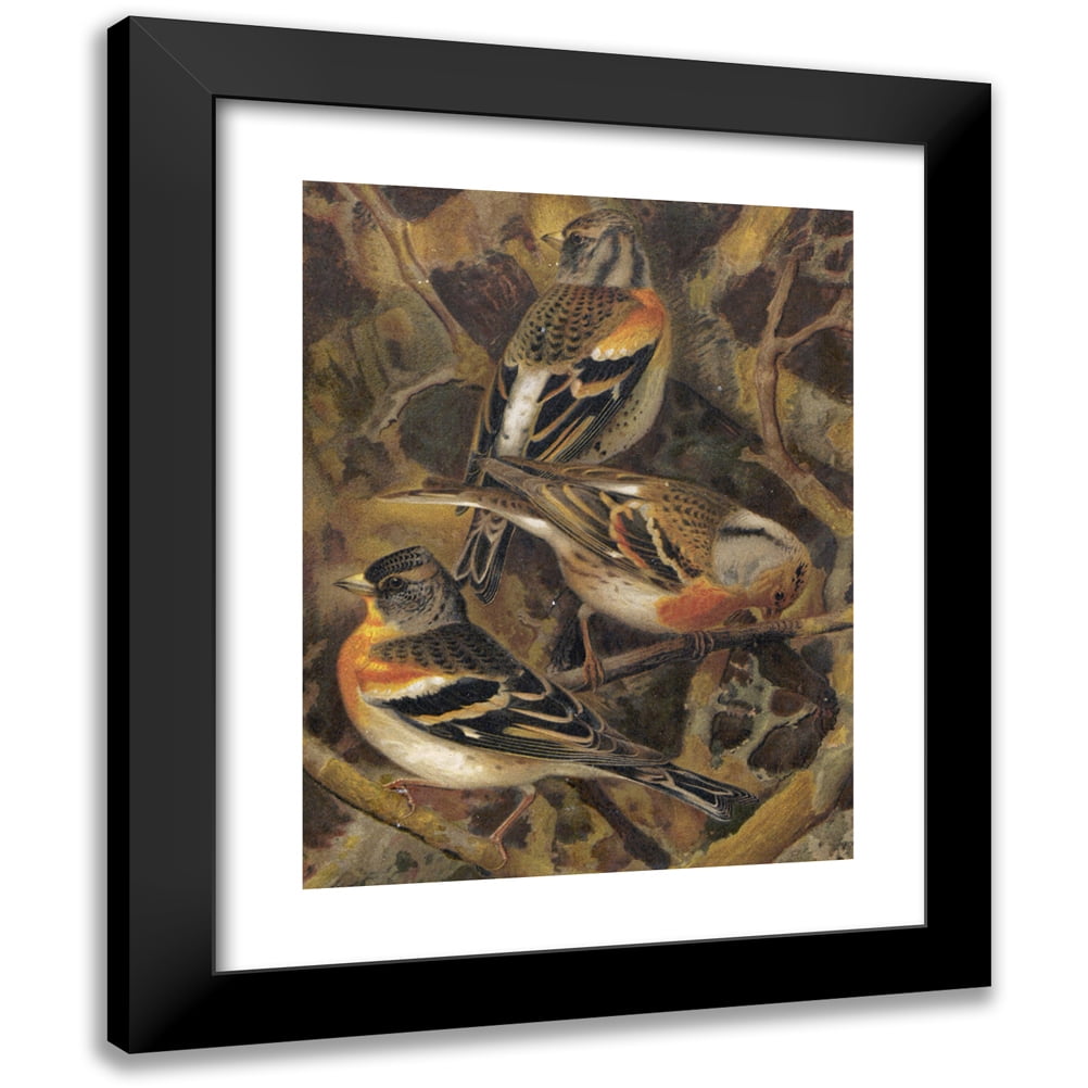 Léo-Paul Robert 15x18 Black Modern Framed Museum Art Print Titled ...