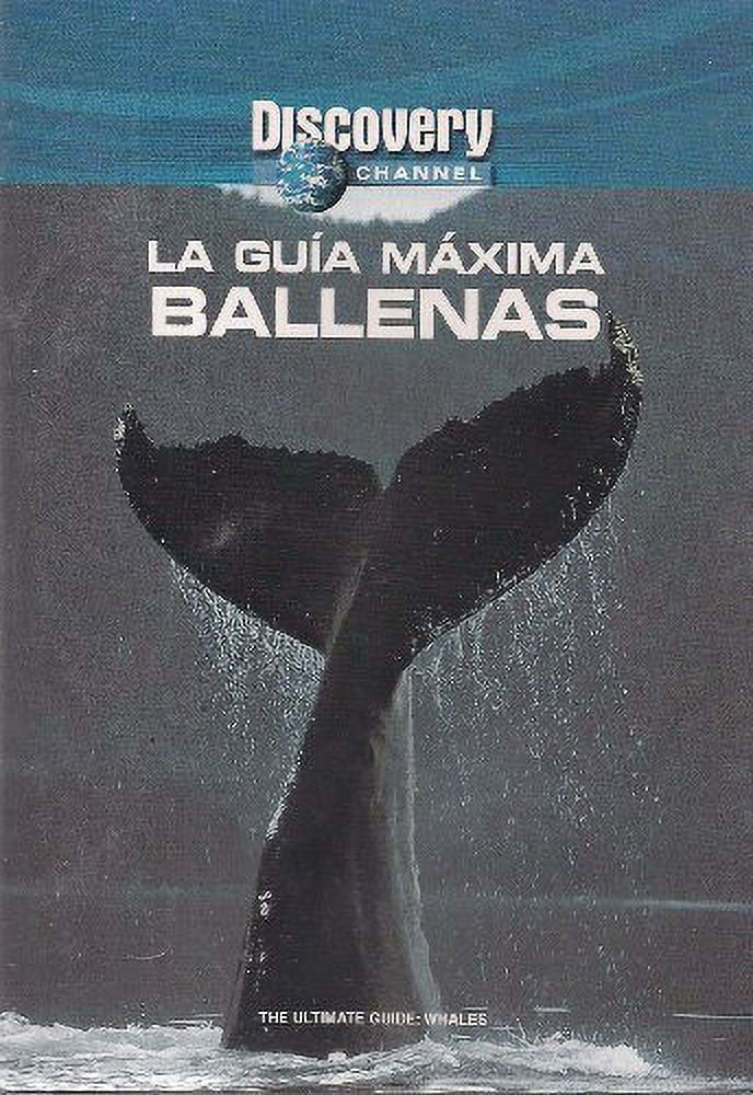Pre-Owned LA GUIA MAXIMA BALLENAS (THE ULTIMATE GUIDE: WHALES ...