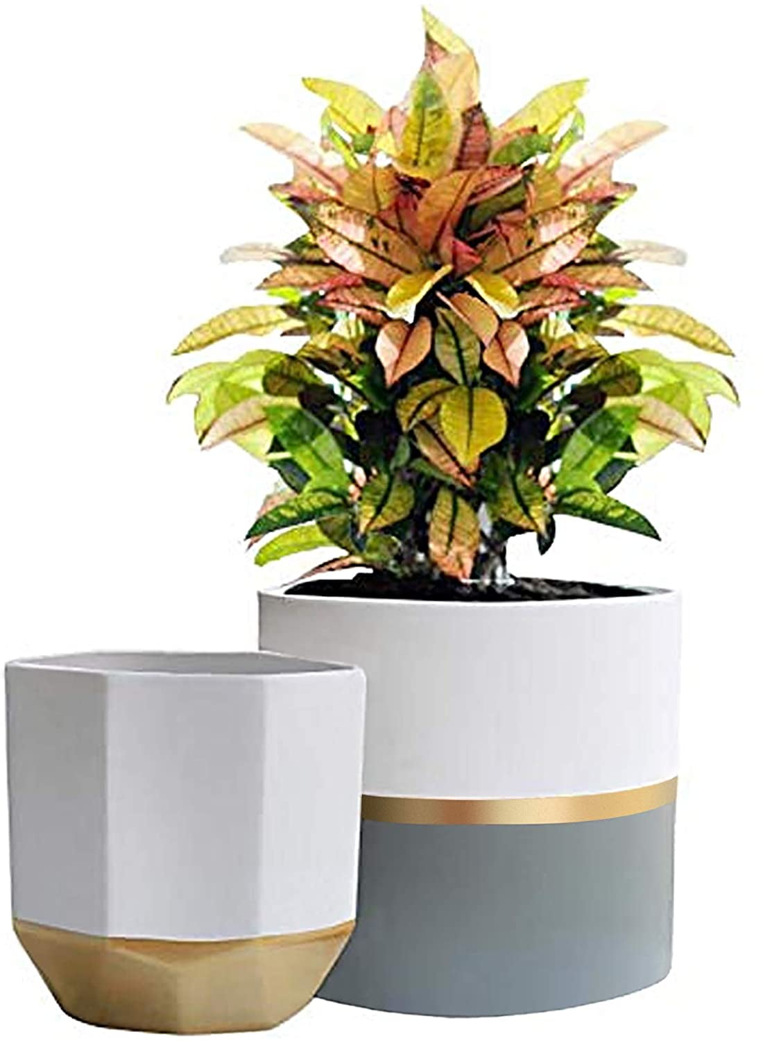 LA Jolie Muse White Ceramic Flower Pot Garden Planters 6.7 Inch Pack 2 ...