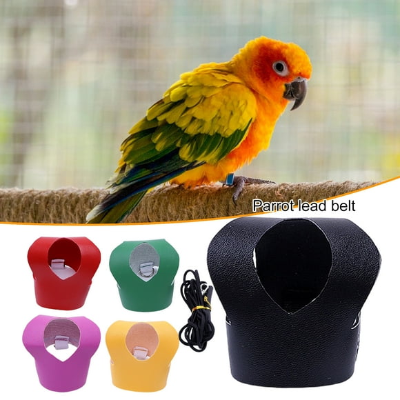 Parakeet Harness