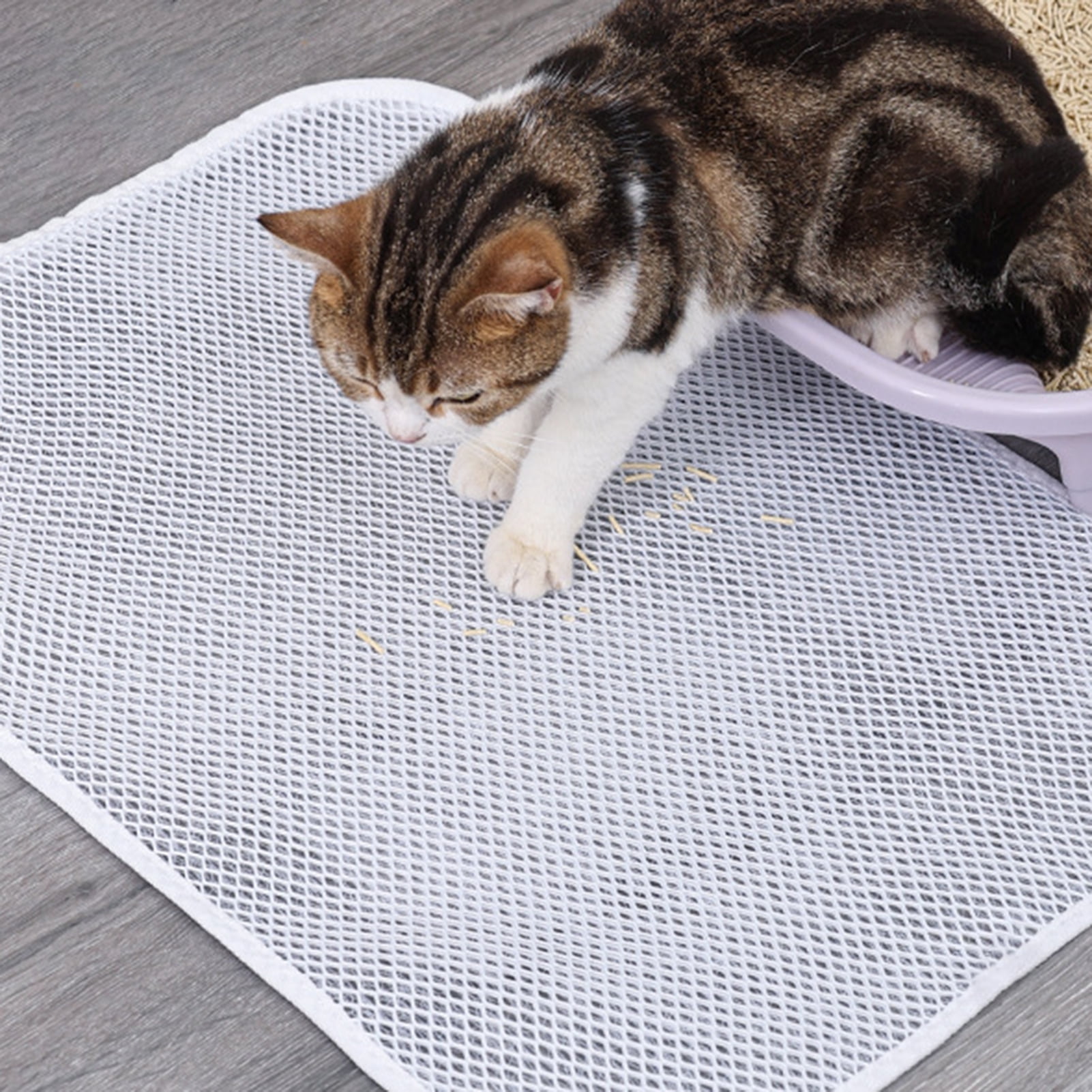 LA TALUS Waterproof Base Washable Grid Sand Leakage Rectangle Cat ...