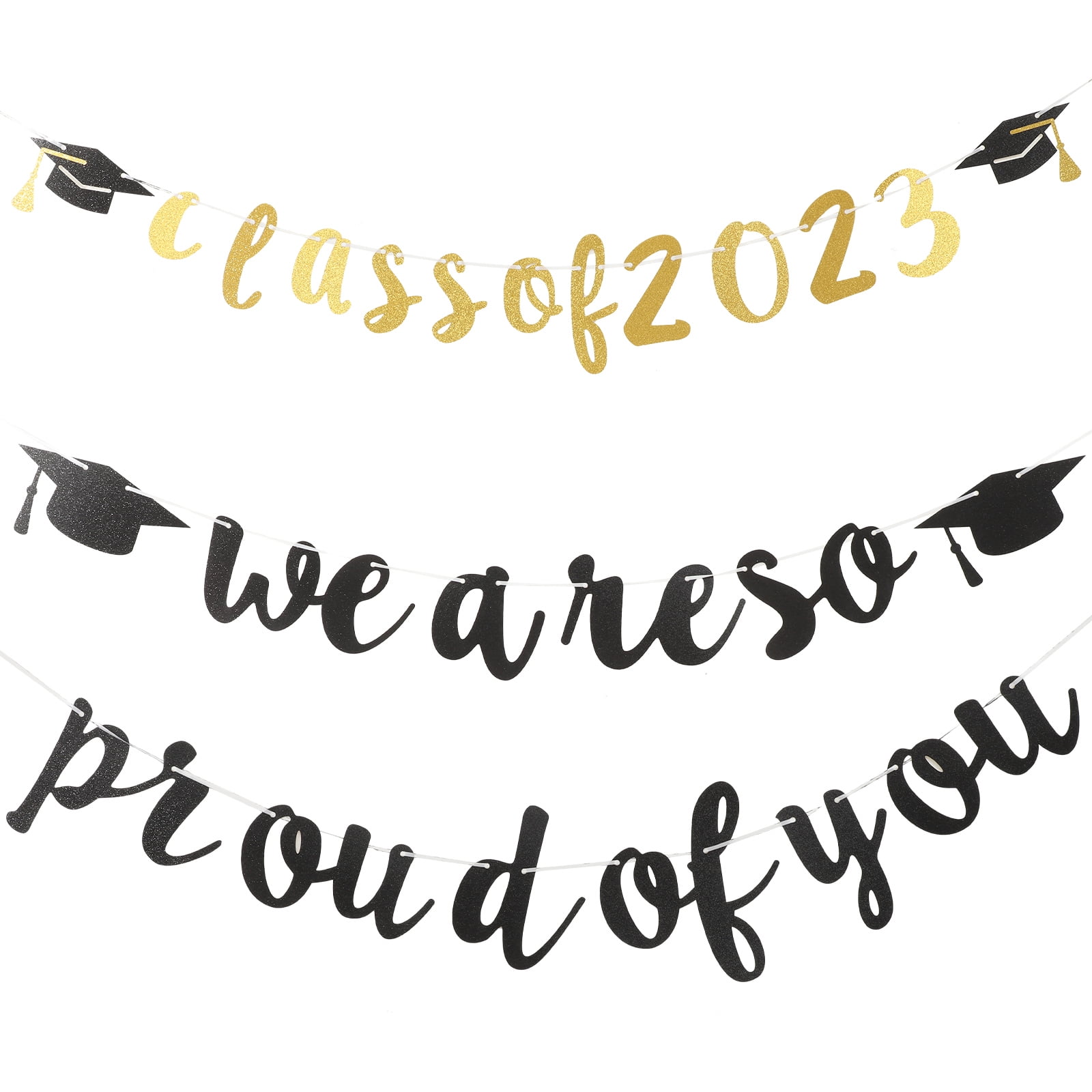 LABRIMP 2 Sets Graduation Banner Decorations 300Cm For Graduation ...