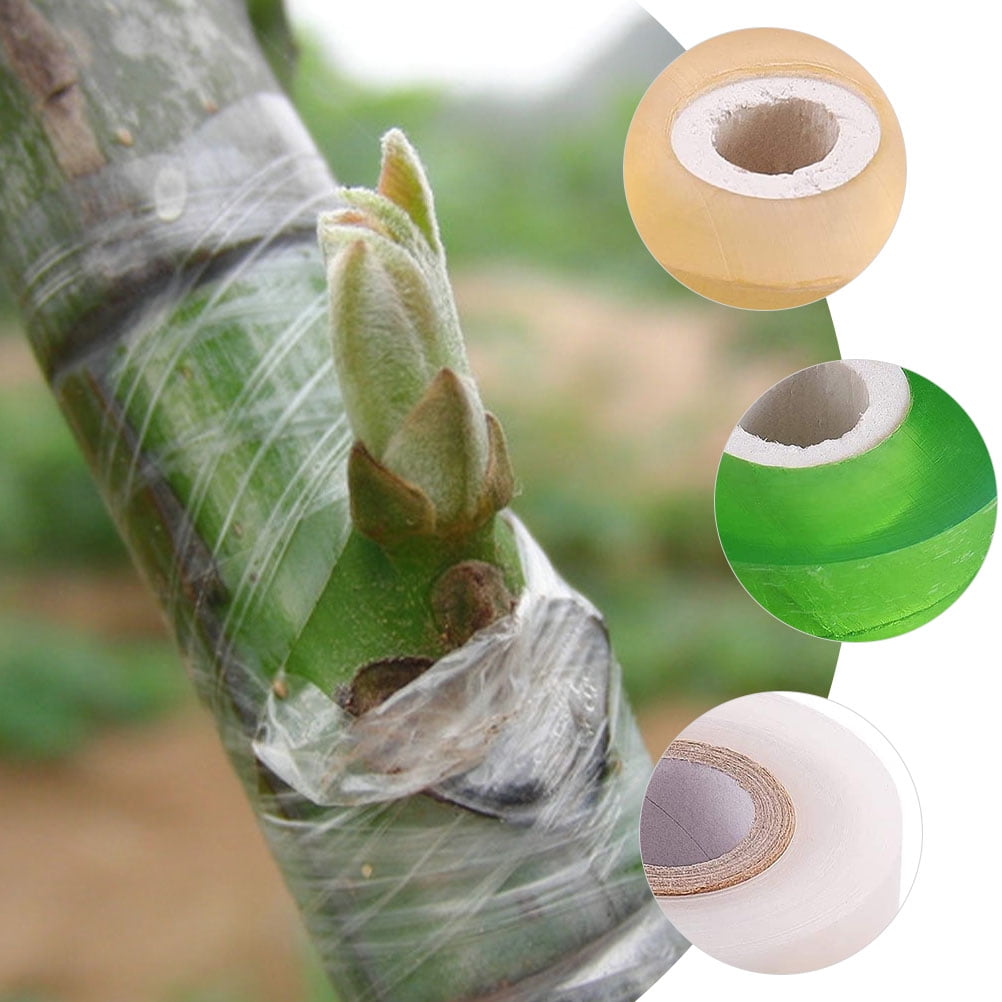 LABRIMP 3 Rolls Grafting Tape Assorted Color for Plant Grafting Tapes ...