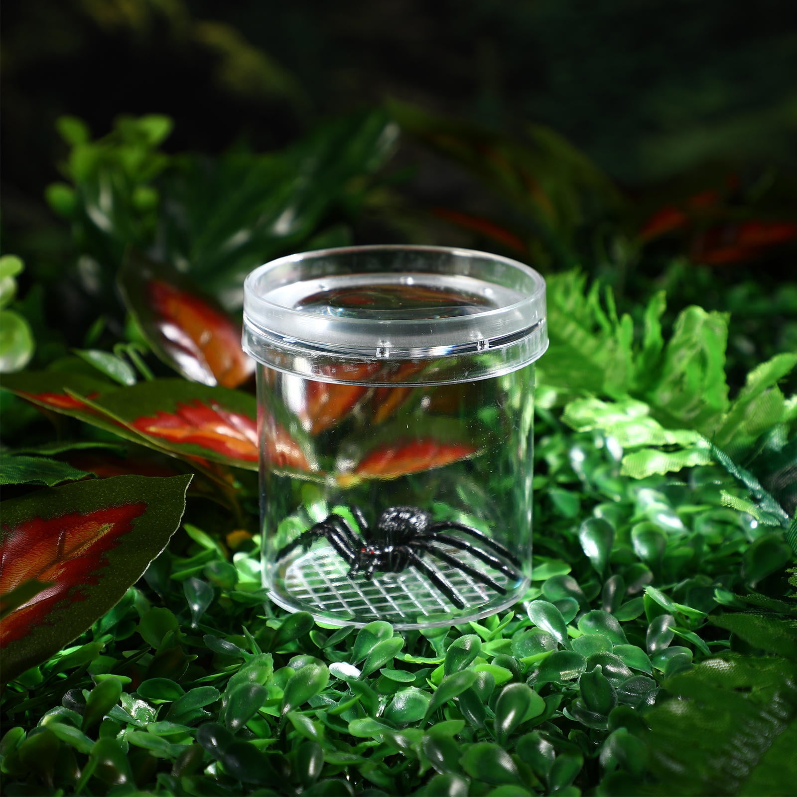 LABRIMP 6Set Insect Observation Cup for Students Transparent Plastic ...