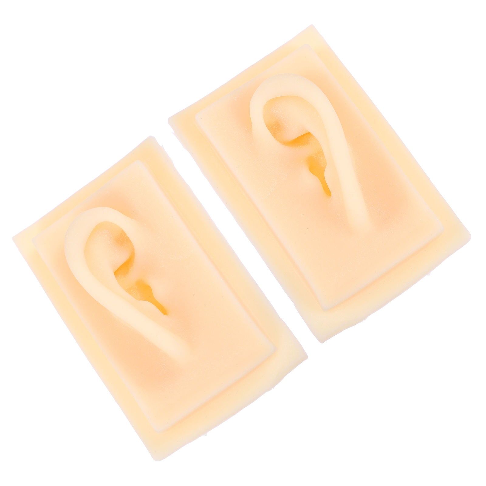 LABSERRON Medical Ear Model Simulation Ear 1 Pair 3.7X2.6X1.8In ...