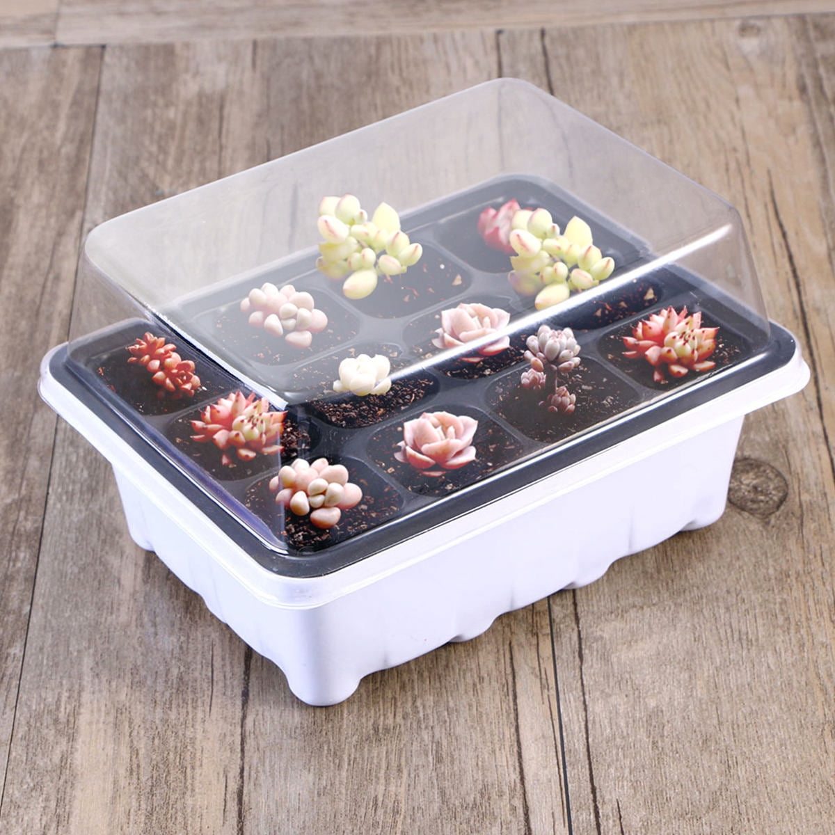 LABSERRON 10 Pack Pot Trays for Plants with Dome for Gardening ...