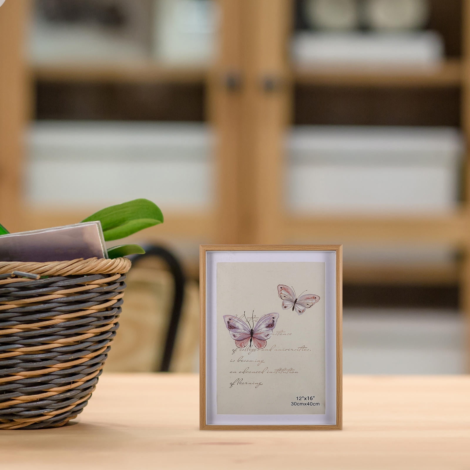 LABSERRON 1Set Medal Display Case Rectangular Shape Minimalist Design ...