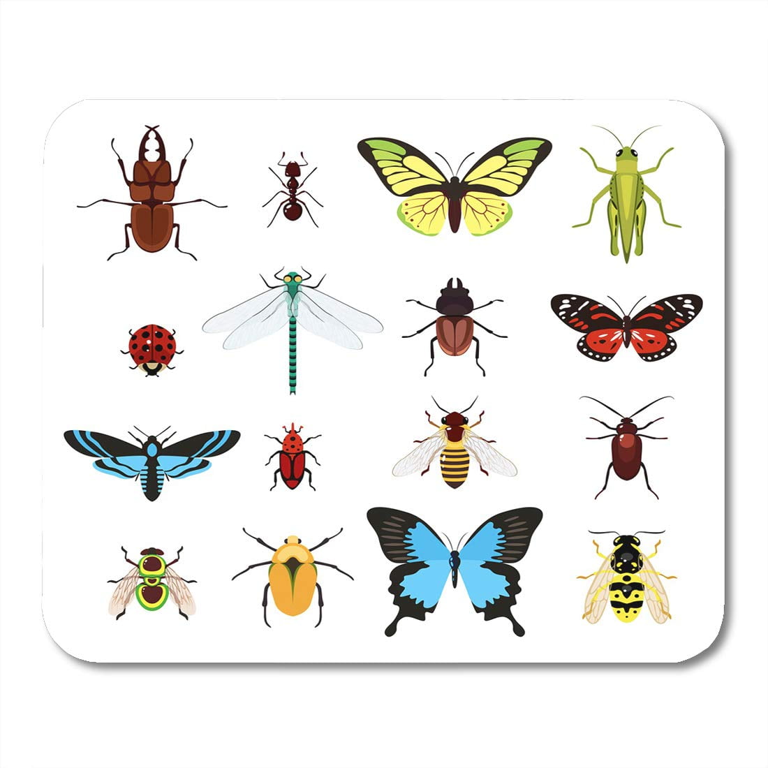 LADDKE Ant Brown Locust Insects Colored with Dragonfly Beetle Butterfly ...