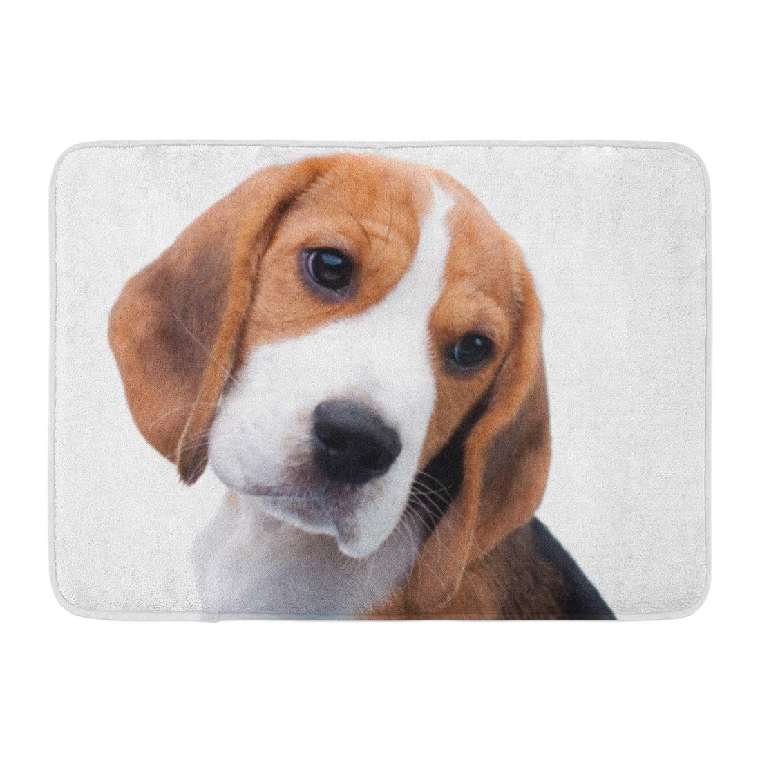 LADDKE Brown Hunting Cute Dog Beagle Puppy Looking Curiously Yellow ...