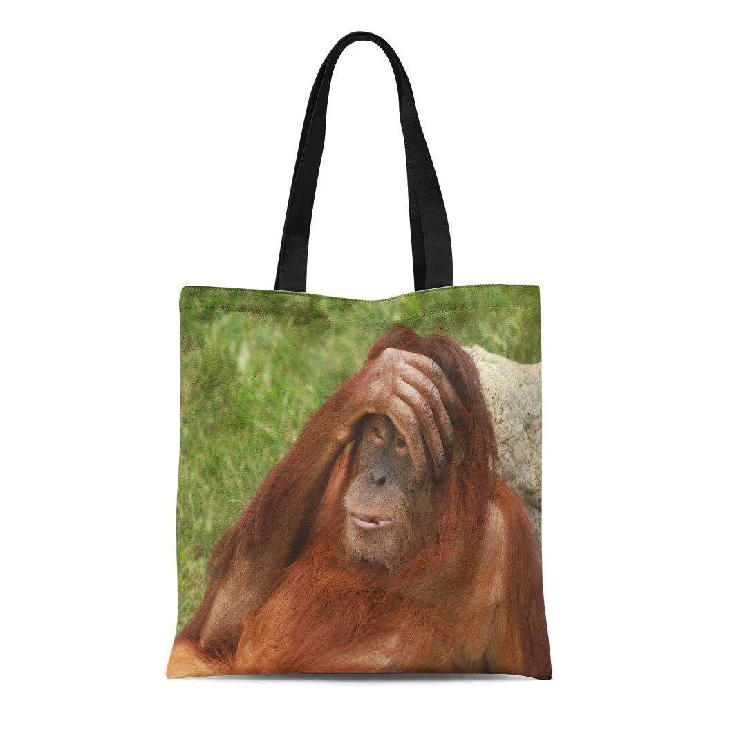 LADDKE Canvas Bag Resuable Tote Grocery Shopping Bags Portrait of Wild ...