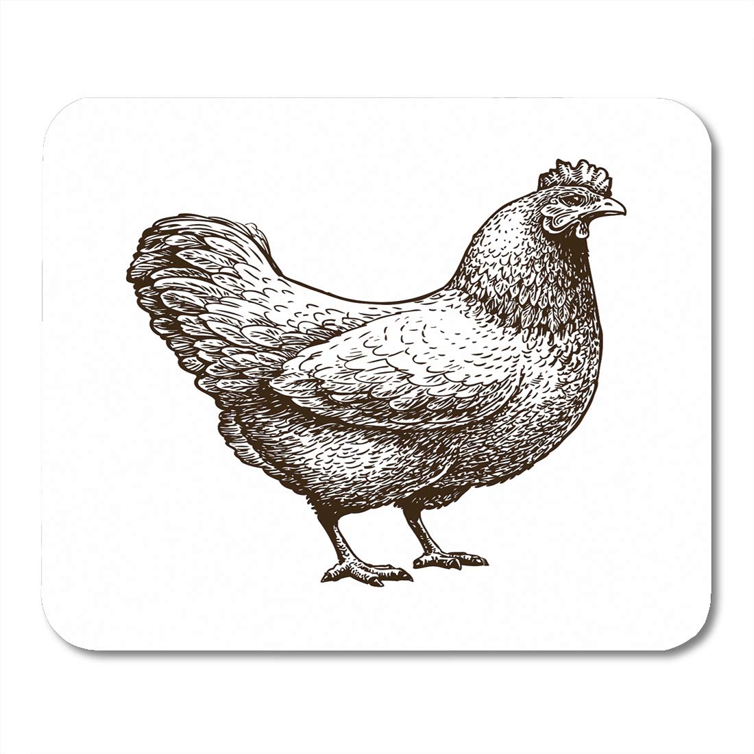 LADDKE Drawing Chicken Hen Poultry Broiler Farm Vintage Sketch Farmer ...