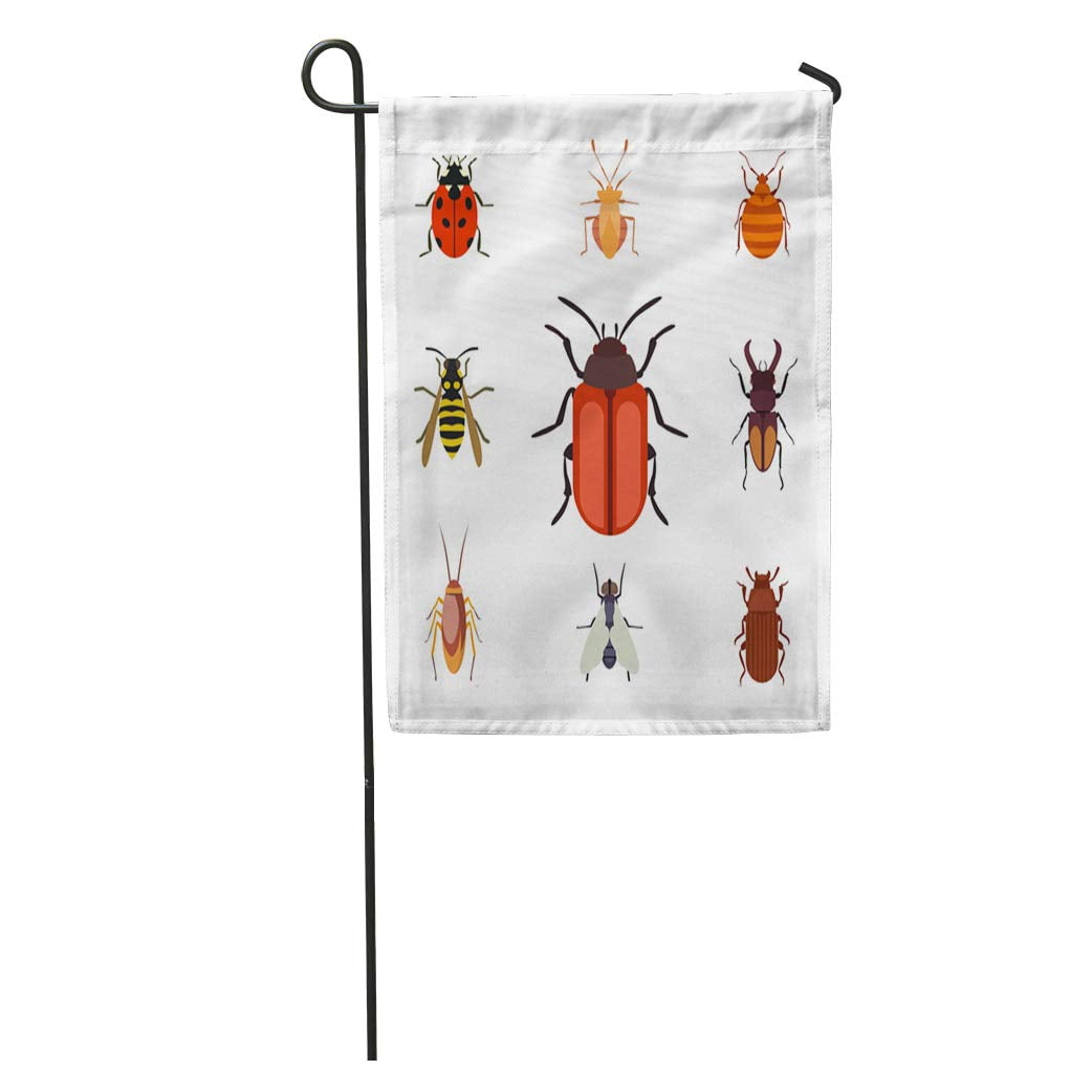 LADDKE Insect Flat Nature Flying Bugs Beetle Ant and Wildlife Spider ...