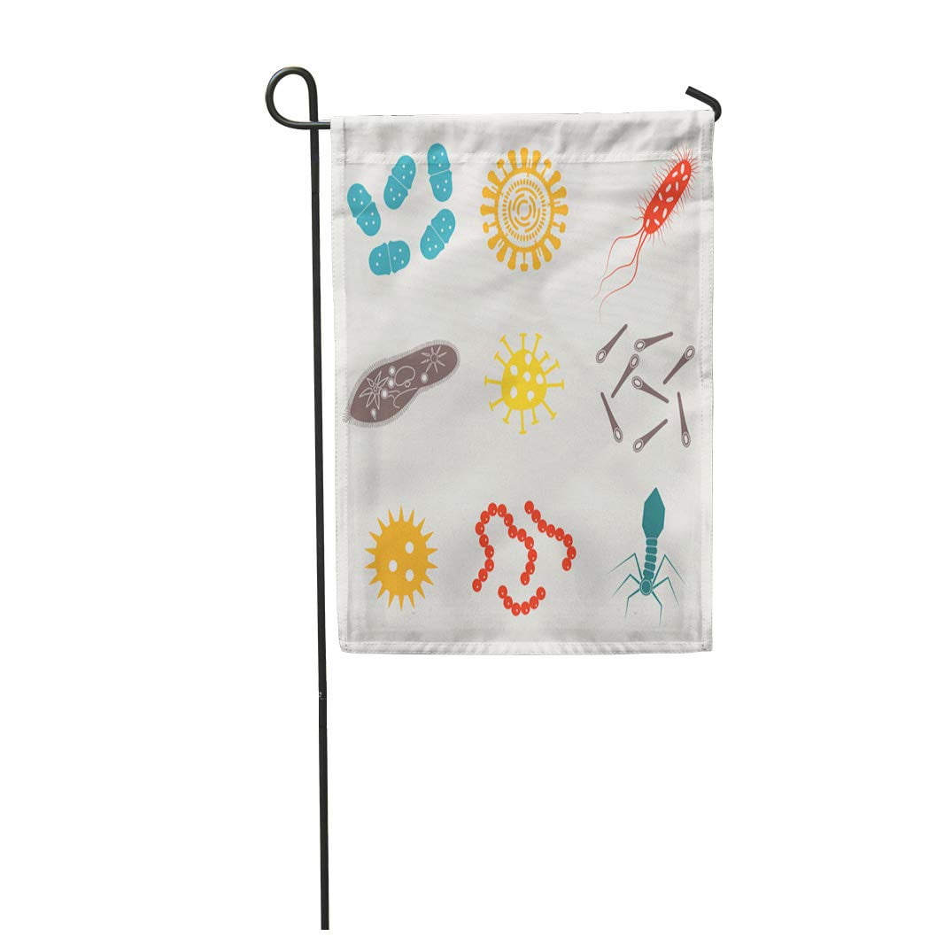 LADDKE Microbiology Virus and Bacteria Colorful Alert Allergens ...