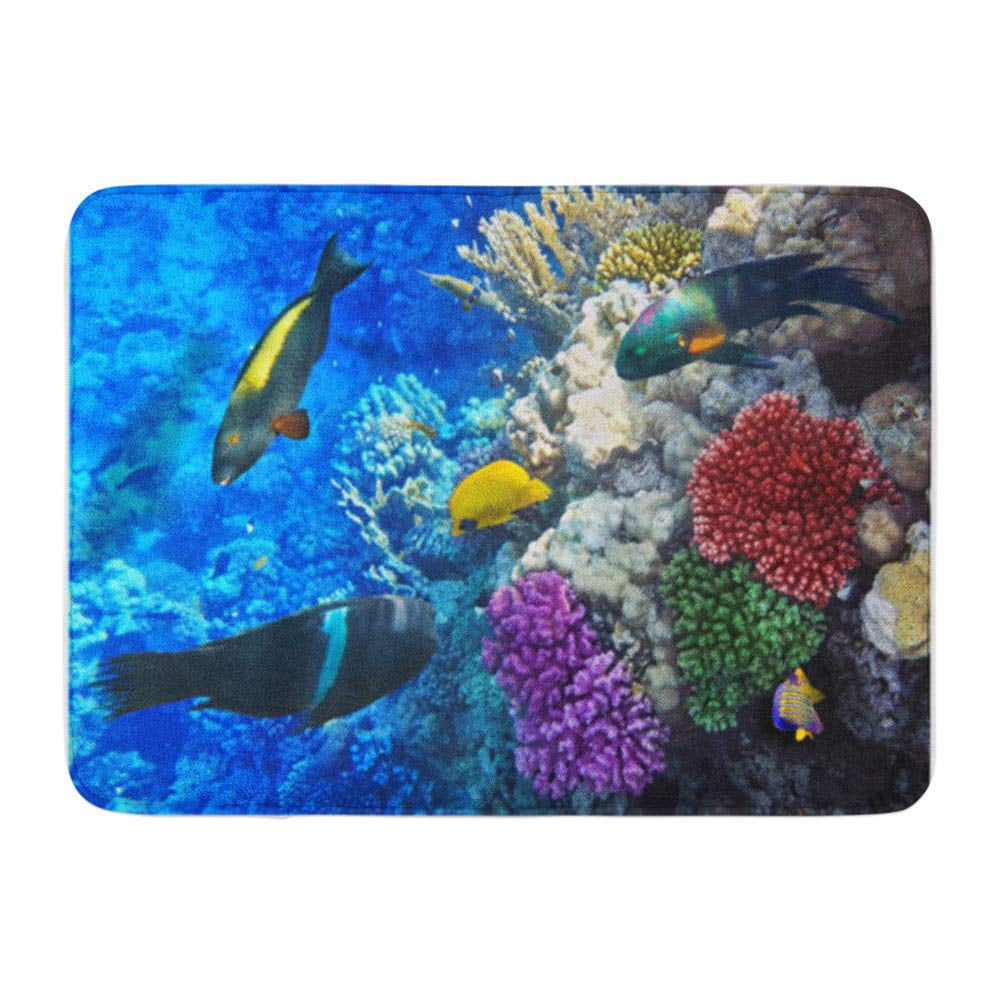 Red Sea Reef Mat