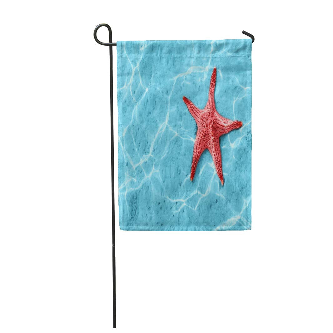 LADDKE Star Starfish in Blue Water with Light Reflection Sea Beach Sand ...