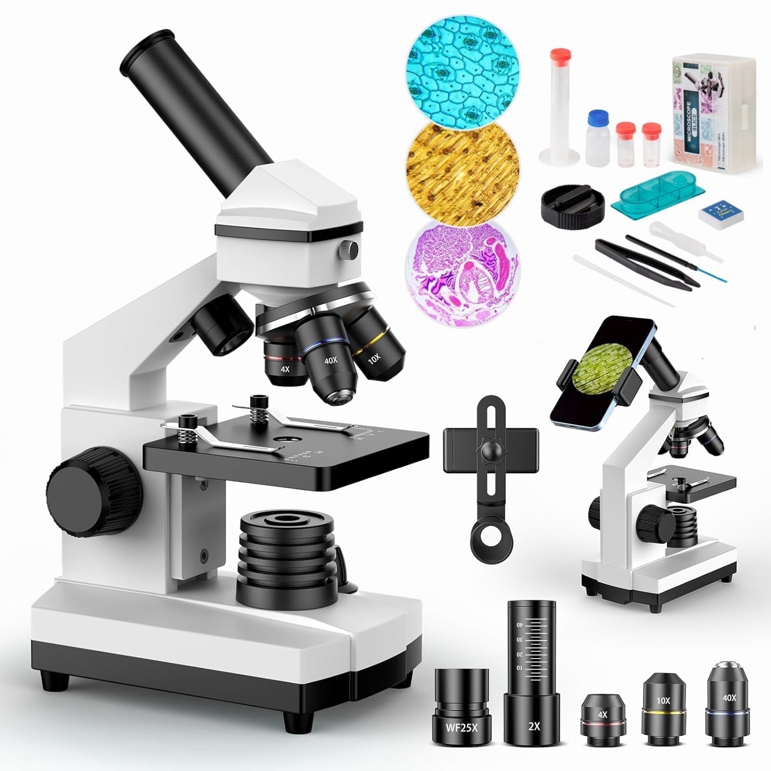 LAKWAR STEM Toy Microscope, 100X-2000X Science Kit with Slides for Kids ...